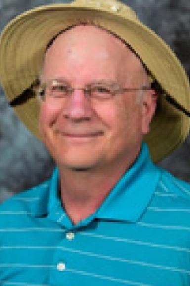 M. Robin Collins | College of Engineering and Physical Sciences